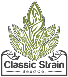 Welcome - Classic Strain